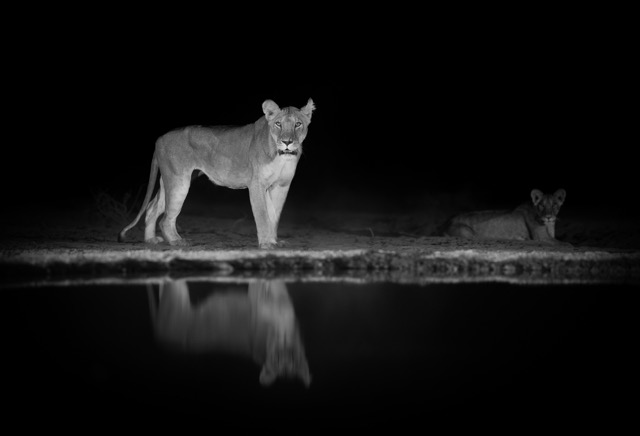 Exposure One Awards | Mark Fernley | 2025 Nature Photography Contest ...