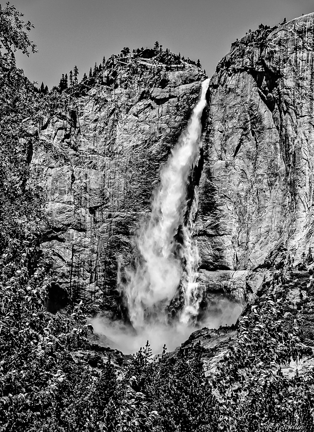 Exposure One Awards | Neil Reichline | Nominee (Other)