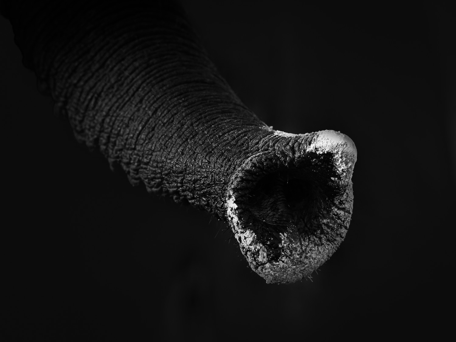 Exposure One Awards | Vicki Santello | Honorable Mention (Minimalism)