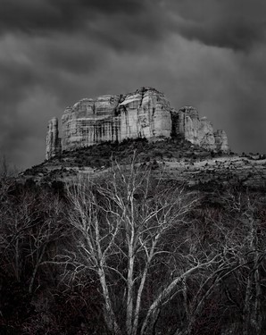 Exposure One Awards | Artist Profile: Larry Bean