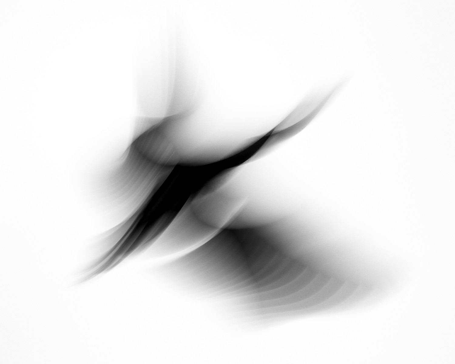 Exposure One Awards | David Cook | Bronze (Abstract)