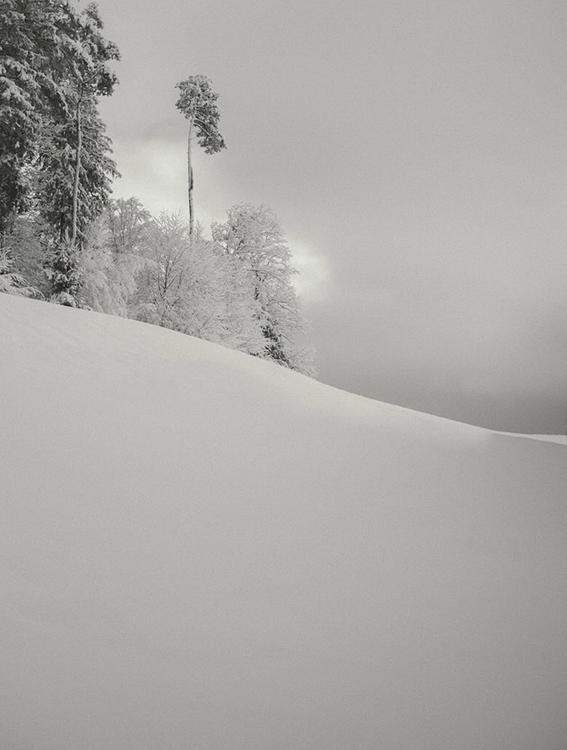 Exposure One Awards | Markus Busch | 2025 Nature Photography Contest ...