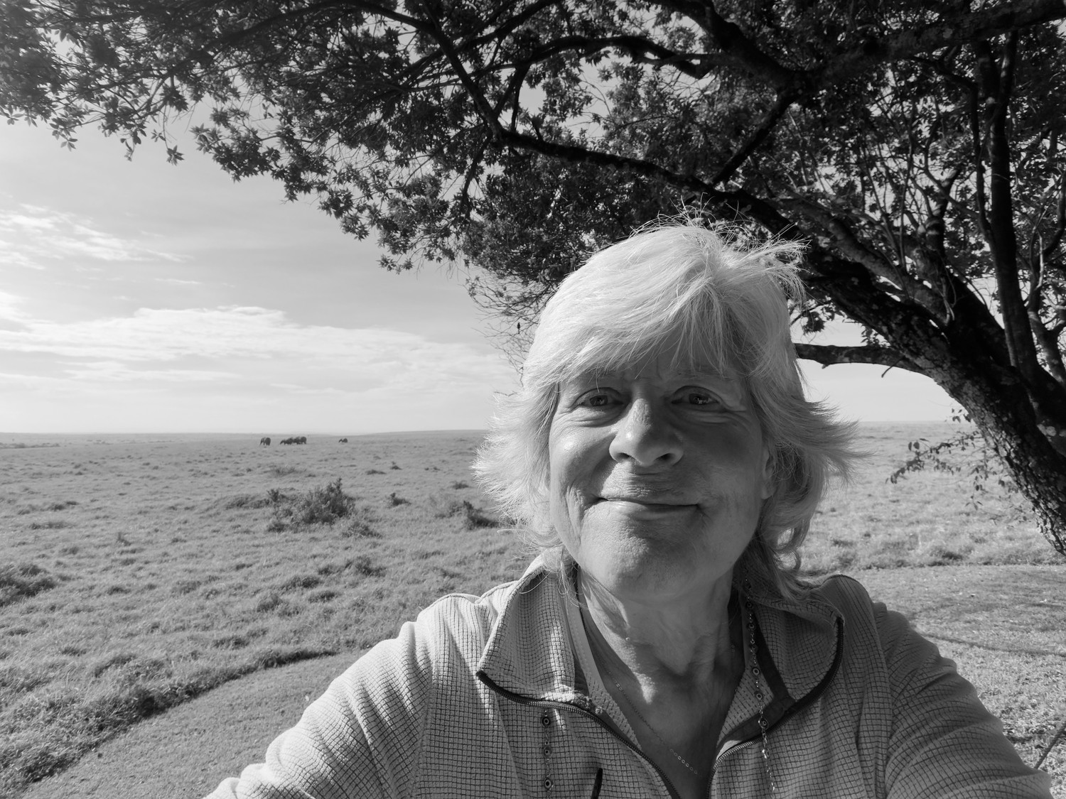 Exposure One Awards | Debbie Lucas | Honorable Mention (Other)