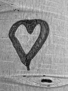 Exposure One Awards | Marcos Franchetti | Silver (Earth’s Textures)