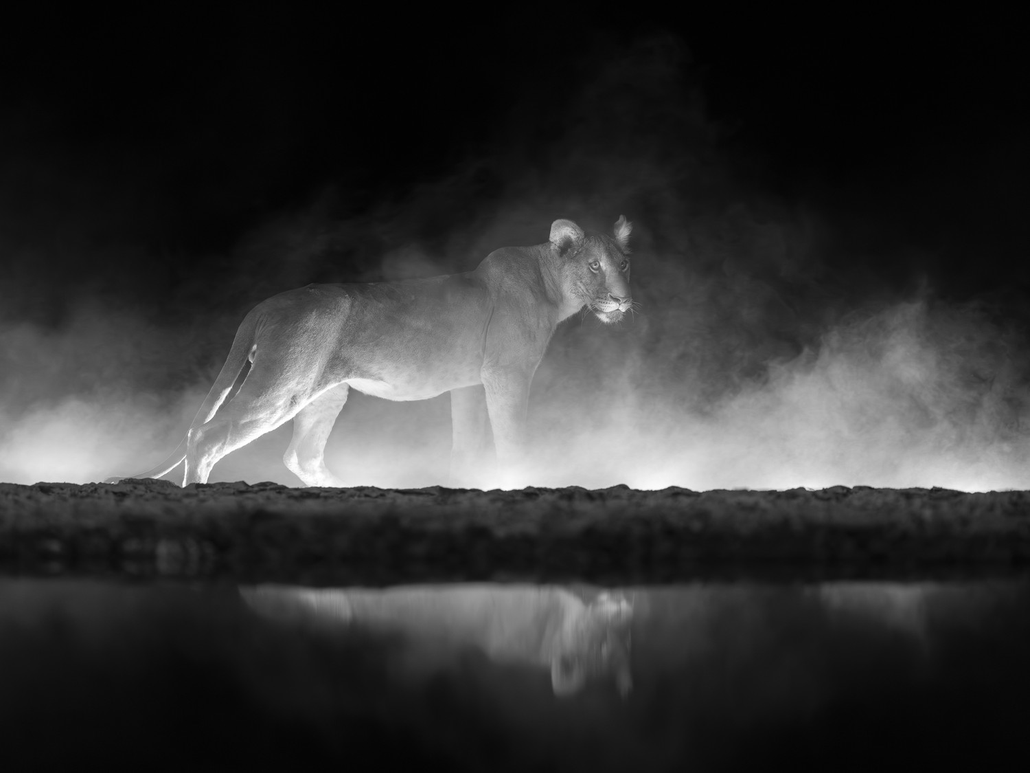 Exposure One Awards | Nature Photography Contest Winners