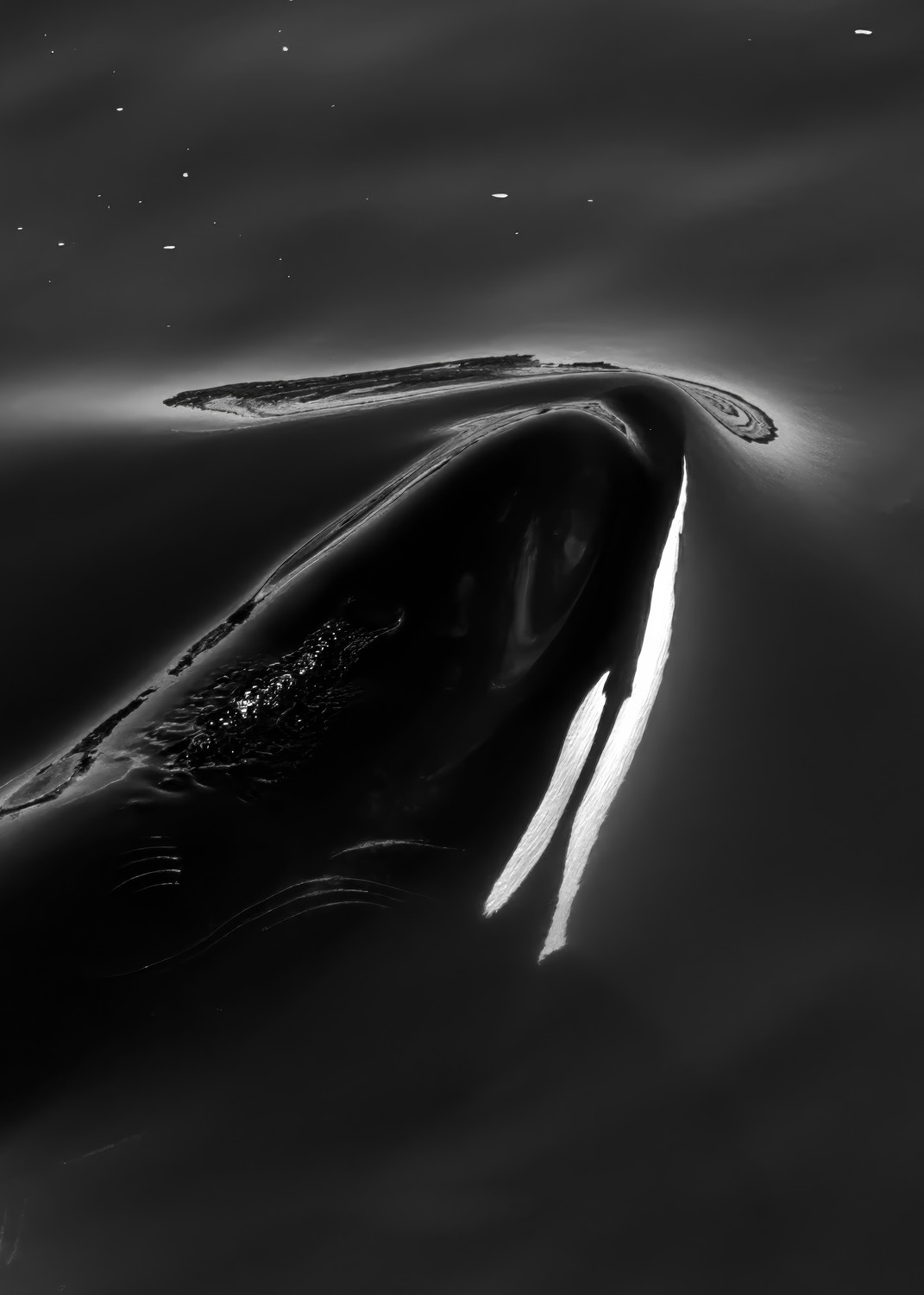 Exposure One Awards | Artist Profile: Jami Cantrell