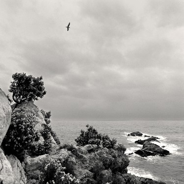 Exposure One Awards | Lisa Mccord | Bronze (Film/Analog)