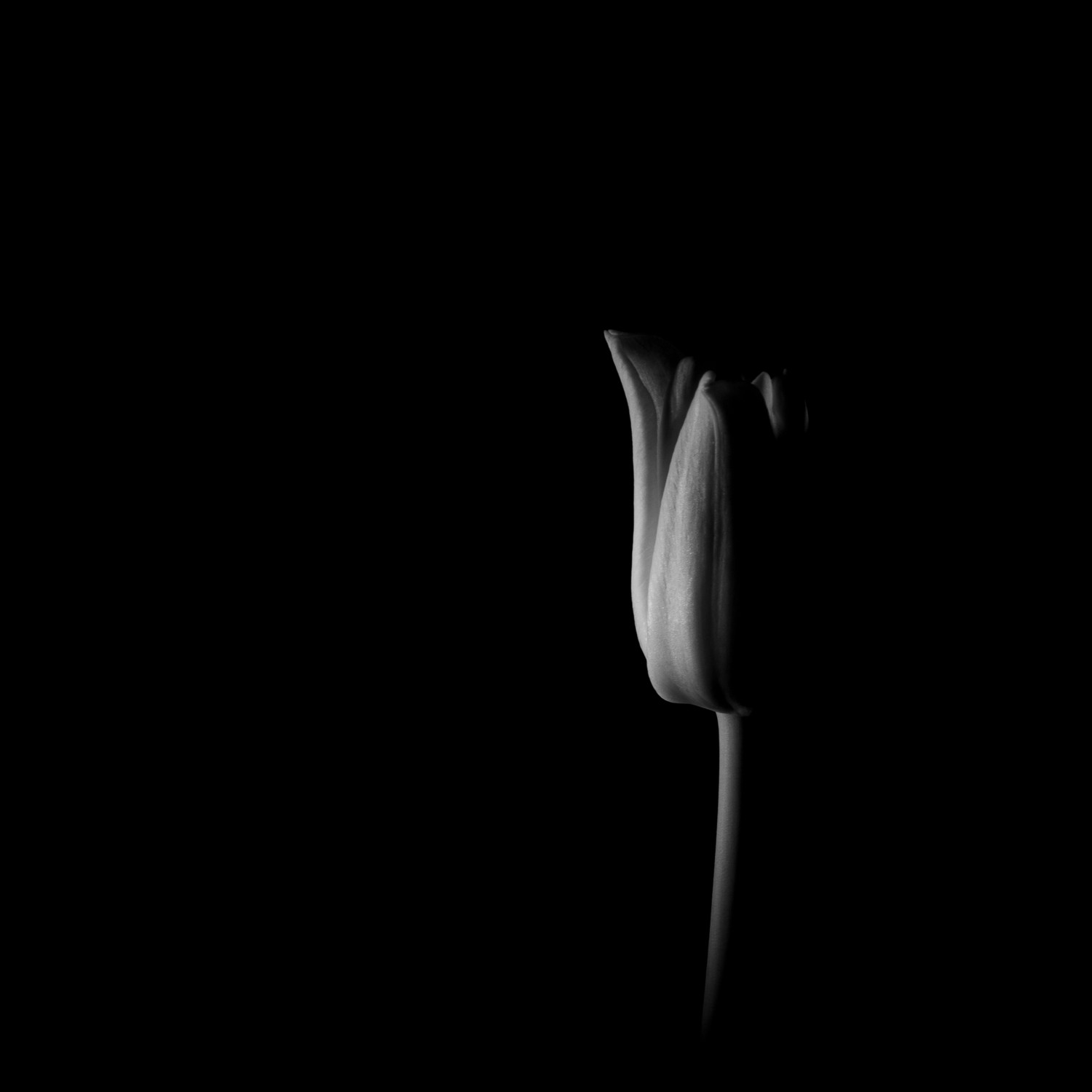 Exposure One Awards | Jonathan Tudor | Bronze (Light & Shadow)